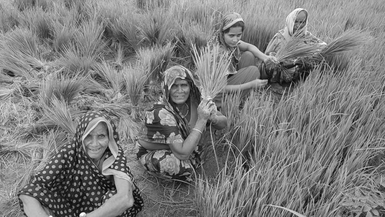 INDIA: Myths, History and Folklore of Rice