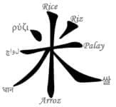 earthstOriez | TIMELINE: The story of rice