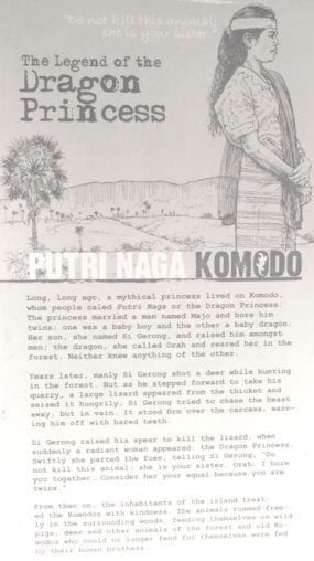 INDONESIA: Here be dragons – History, Myth and Folklore of the Komodo ...