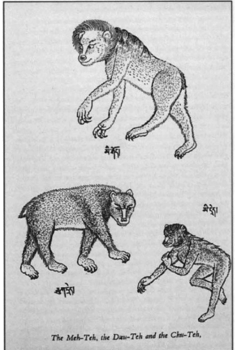 earthstOriez | NEPAL: Myth and Folklore of the Yeti