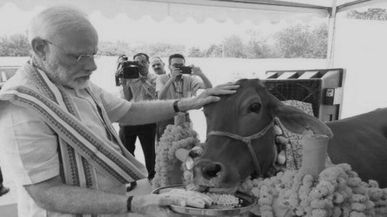 INDIA: On cow and bull in History & Mythology