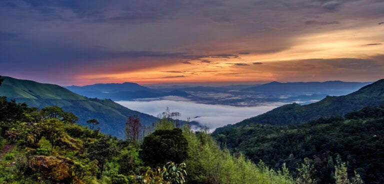 Baba Budan and the seven coffee seeds from Arabia