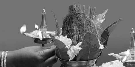 earthstOriez | INDIA: On the Coconut palm