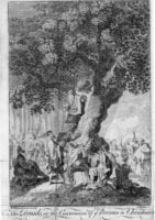 SUPERSTITIONS About Trees from 1906