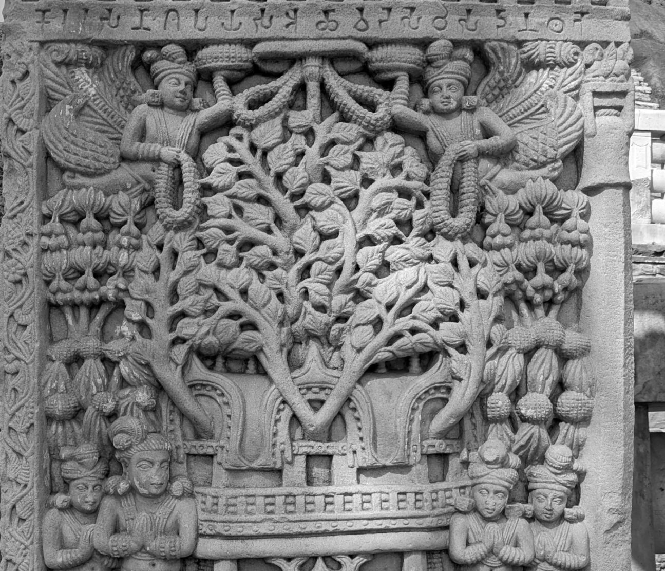 INDIA : TREELORE - Bodh Gaya where Buddha sat for enlightenment under ...