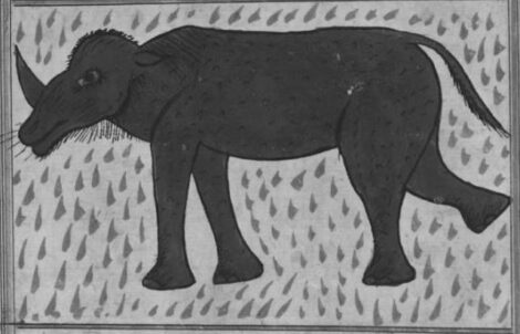 INDIA | NEPAL: There be Unicorns – Myth & Folklore of the One – horned ...