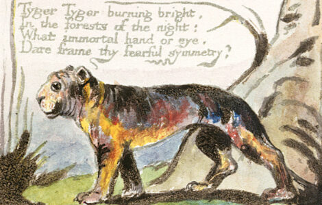 INDIA : On History, Myth & Folklore of the Bengal Tiger